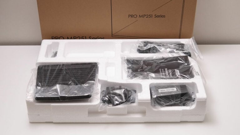 MSI PRO MP251 Monitor Review