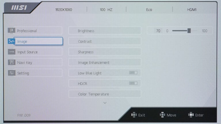 MSI PRO MP251 Monitor Review